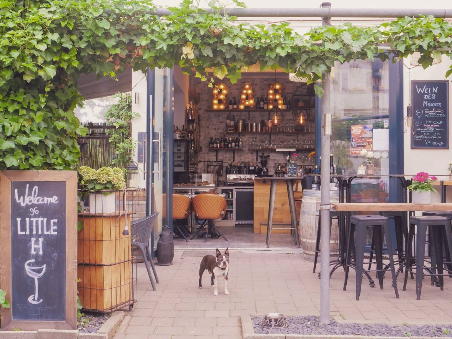 Restaurants in Hannover – Kulinarische Highlights entdecken